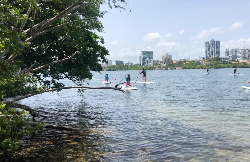 Exploring Condado Lagoon: The Ultimate San Juan Adventure - San Juan ...