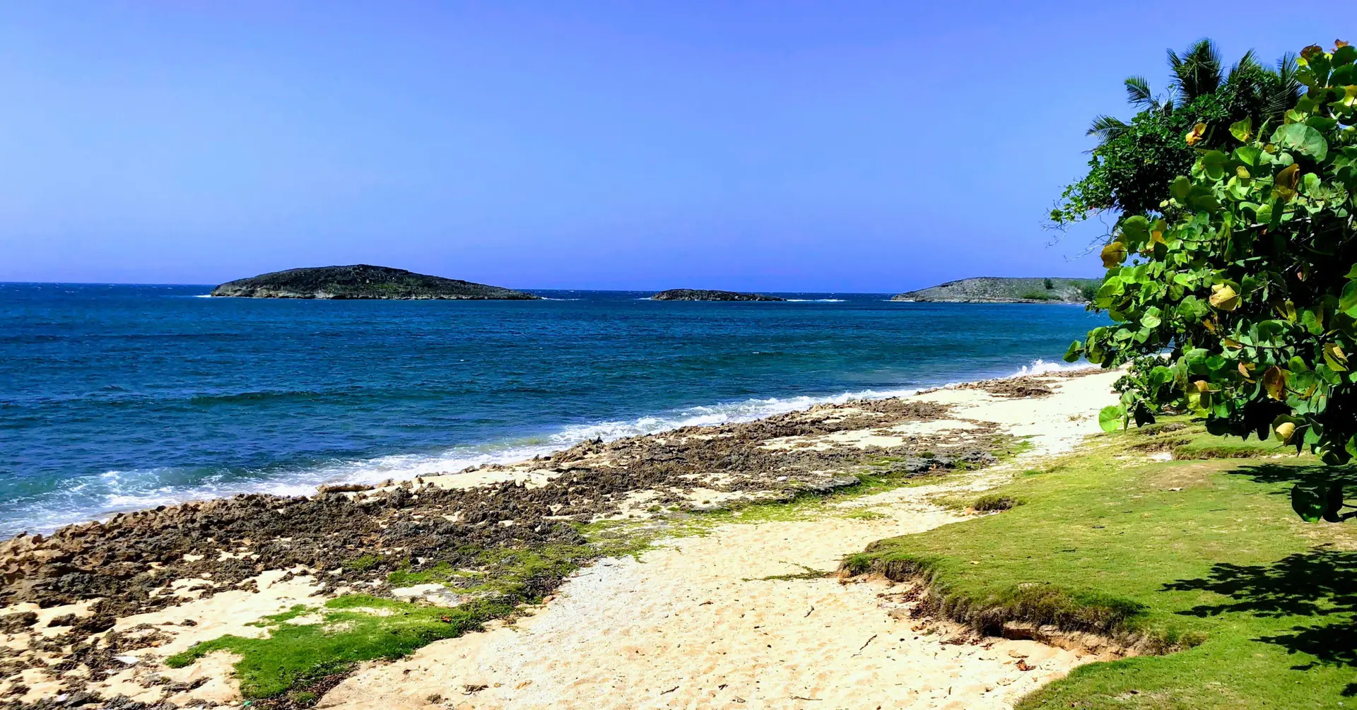 Planning a Day Trip to Arecibo? Here’s Everything You Need to Know ...